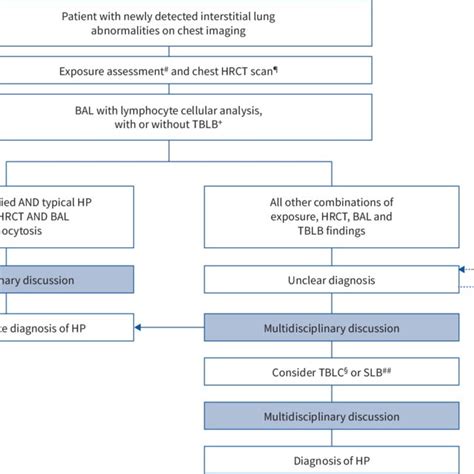 Algorithm For The Diagnosis Of Hypersensitivity Pneumonitis Hp