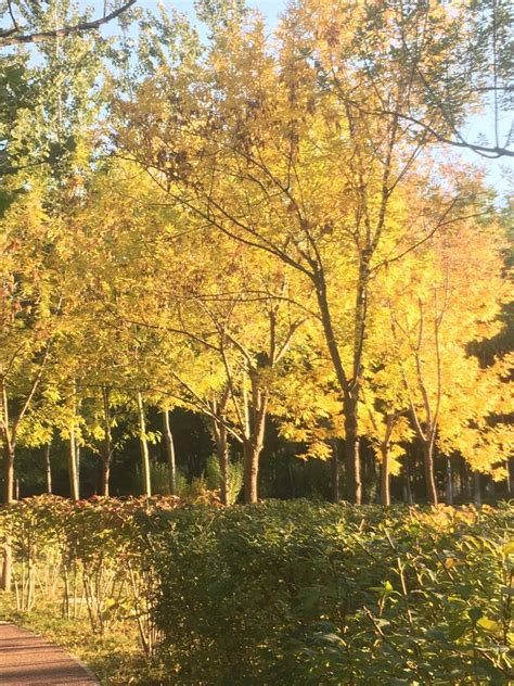 Git： Rejected Failed To Push Some Refs To 知乎