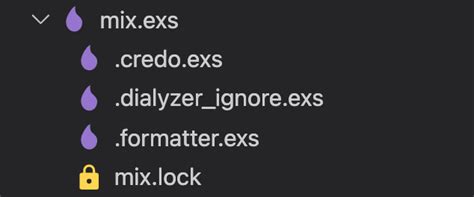 Vs Code Nesting Configs For Elixir Projects Chat Discussions Elixir Programming Language