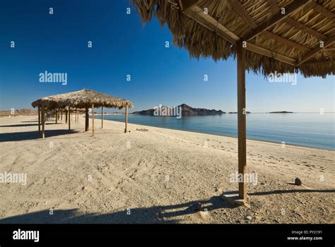 Palapas On Gulf Of California Sea Of Cortez Beach Bahia San Luis Gonzaga Campo Rancho Grande
