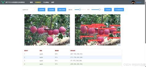 基于django vue3的智能目标检测系统设计与实现，vue3前台系统 django后台管理系统开发，web前后端分离，yolov8 web