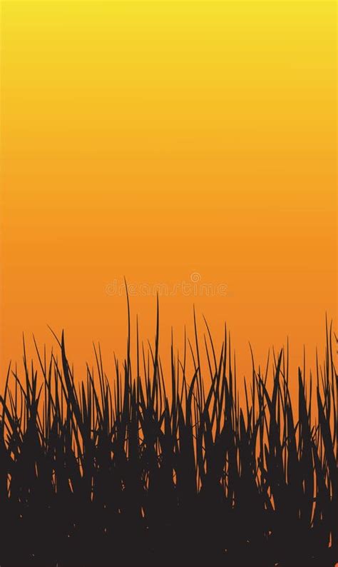 Grass Sunset Background Stock Illustration Illustration Of Grassland