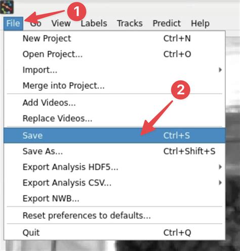 Initial Labeling SLEAP Tutorial
