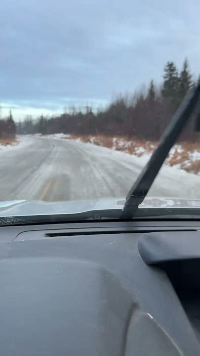 Spruce Chicky Chicky Youtube