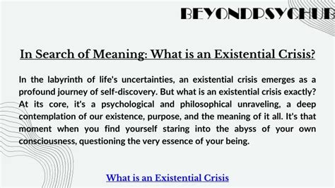 Ppt In Search Of Meaning What Is An Existential Crisis Powerpoint