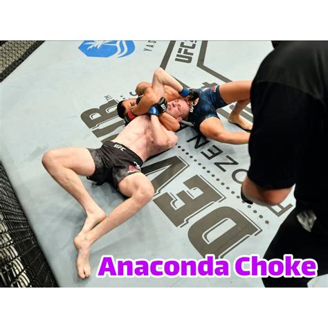 👤 آشنایی با فنون مختلف سابمیشن آلبوم طرفداری