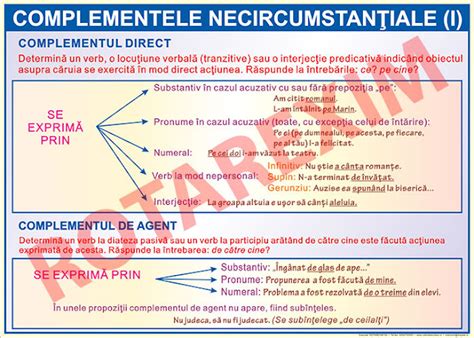 Învață Limba Română Complementul Direct Complementul Necircumstanțial