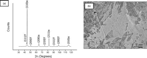 Figure 1 From Analysis Of Microstructure And Defects In 17 4 Ph Stainless Steel Sample