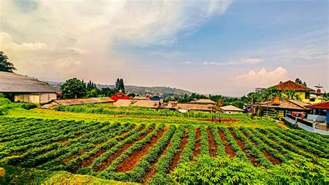 Sejarah Desa Wisata Cilember Sidewinesia Sistem Informasi Desa Wisata Se Indonesia