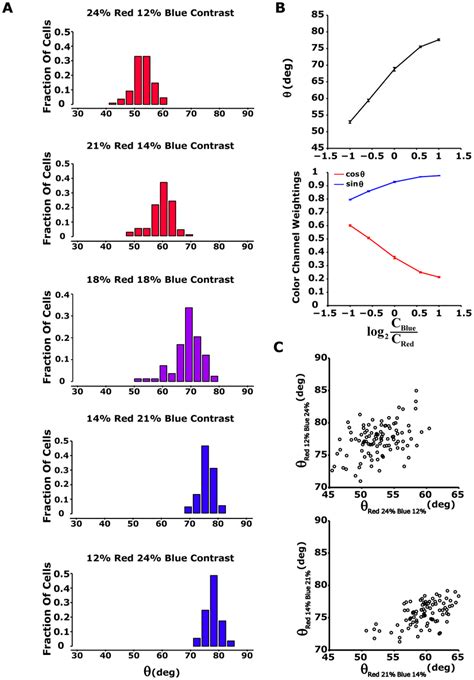 Modification Of Rotation Angle By Colour Contrast Modulation A