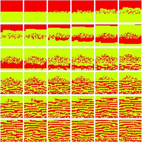 Spatial Cell Populations During A Metabolic Symbiosis Simulation