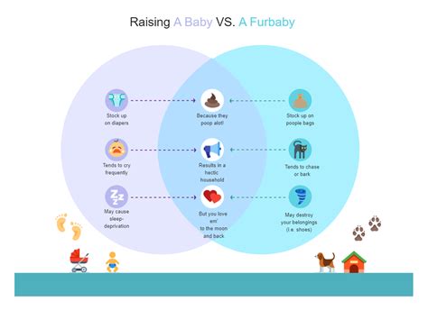 Venn Diagram Comparison Edrawmax Template