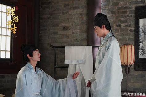 《狸猫书生》电视剧全集在线观看1 20集 天龙影院