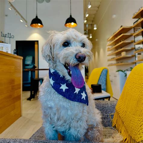 Spectacle Optometry Happy Monday ☀️☕️ We Think Cooper Has The Right