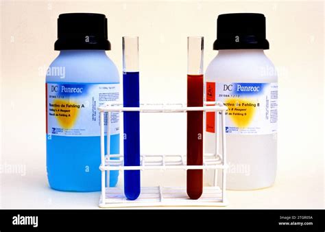 Fehlings Solution Is A Reagent Used To Recognized Reducing Sugars At Left Negative At Right