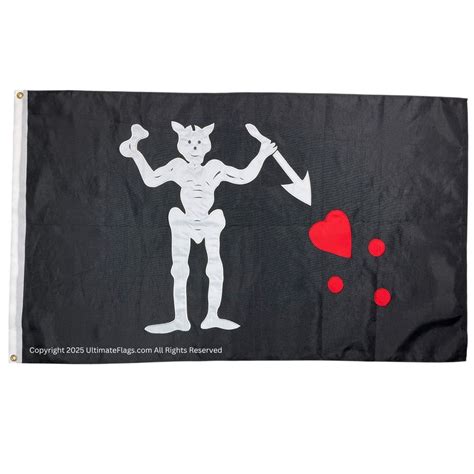 Blackbeard Flag Revised02 Blackbeard Flag Pirate Art Blackbeard