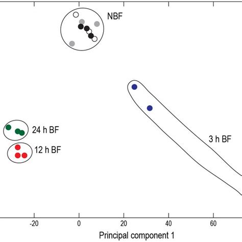 Bryan Cassone Associate Professor Brandon University Brandon