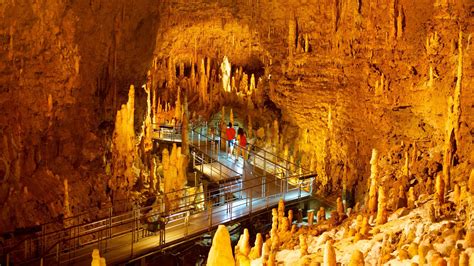 Travel Okinawa Best Of Okinawa Visit Okinawa Prefecture Expedia Tourism