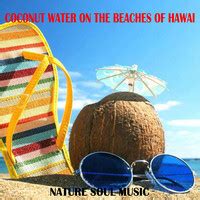 Coconut Water On The Beaches Of Hawai Songs Download Mp3 Song Download