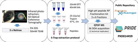 Experiment Design And Sample Preparation Workflow Download Scientific Diagram