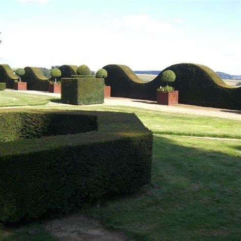 James Todman On Instagram “magnificent Curved Yew Hedge At