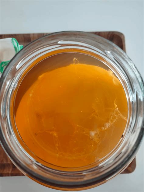 Scoby Dry On Top Kombucha Still Sweet But Somehow Fizzy Unlike Previous Batches Something