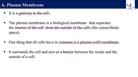 Biology Lecture Slides Biology Final Important Ppt