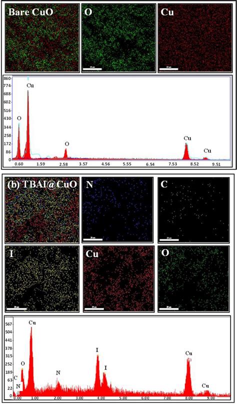 Edx And Mapping Analysis Of A Bare Cuo Flowers B Hybrid Tbaicuo Catalyst Download Scientific