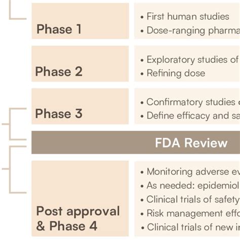 The Drug Life Cycle Drug Life Cycle Pre Human Research Download
