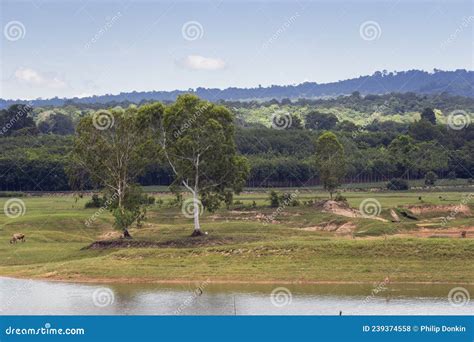 Manmade Reservoir With Natural Habitat Surroundings Created For Native