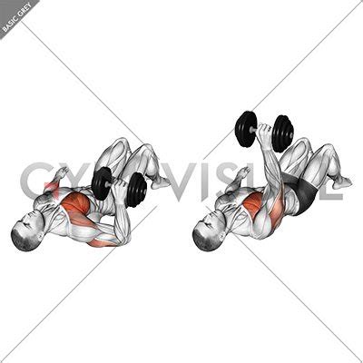 One Arm Dumbbell Floor Press Muscles Worked