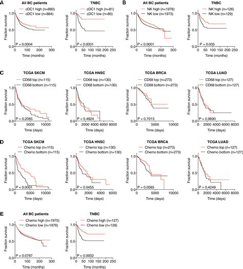 Nk Cells Stimulate Recruitment Of Cdc1 Into The Tumor Microenvironment