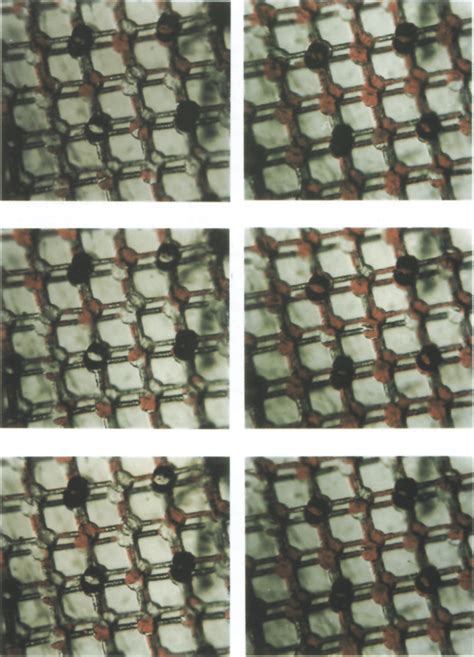 Stages Of Steady State Two Phase Flow Through The Two Layer Glass Download Scientific Diagram