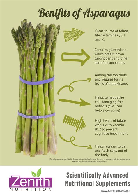 Asparagus Nutrition Calcium At Alica Martel Blog