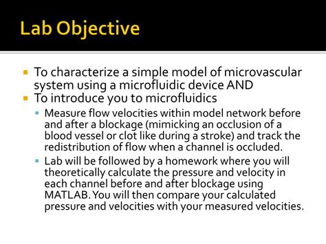 PPT Intro To Lab Modeling A Microvascular Network On A Chip PowerPoint Presentation ID