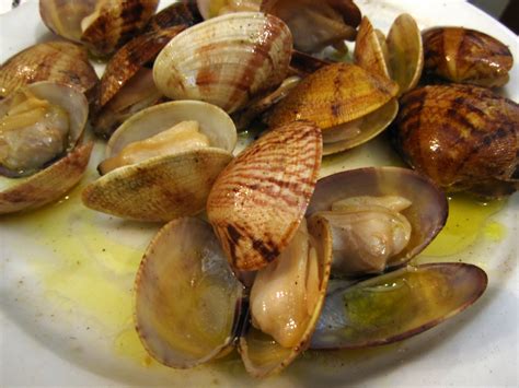 Clams In New Zealand Rove Me