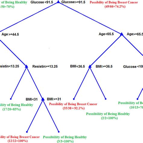 Visual Schematic Of Decision Tree Rules Download Scientific Diagram