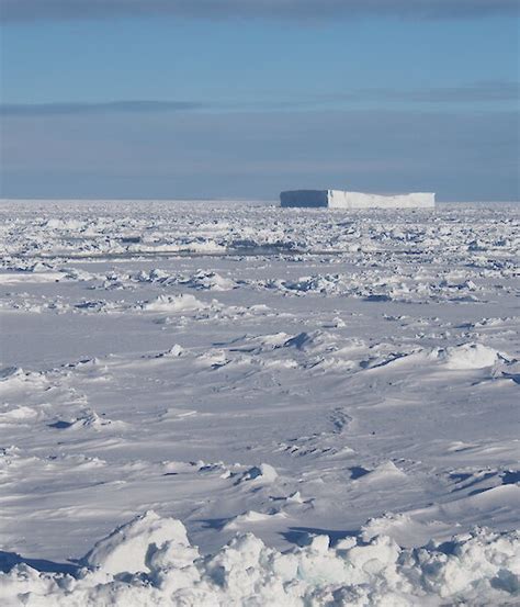 Sea Ice Research From Pole To Pole Australian Antarctic Program News