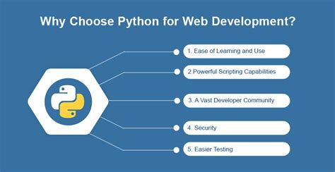 How Much Does It Cost To Build A Python Application Xceedbd™