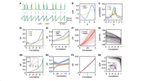 Physiological Neuronal Heterogeneity Can Enhance Correlated