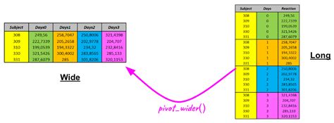 Maîtrisez le format Wide et le format Long des données et leur conversion avec R DellaData