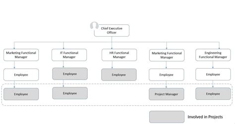 Matrix Organizational Structure Examples Advantages And Disadvantages