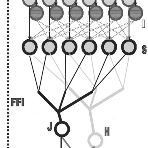 A Schematic Illustration Of The Modified Lgmd Neural Network Model