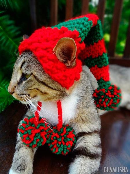 20 новогодних нарядов для котов - Glamusha