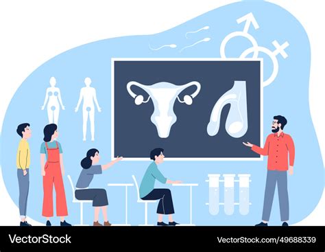 Sex Education At School Lesson For Teenagers Vector Image
