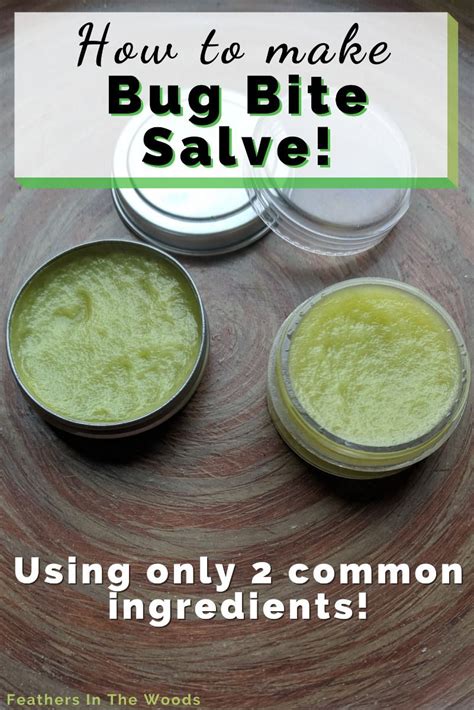 Bug Bite Itch Artofit