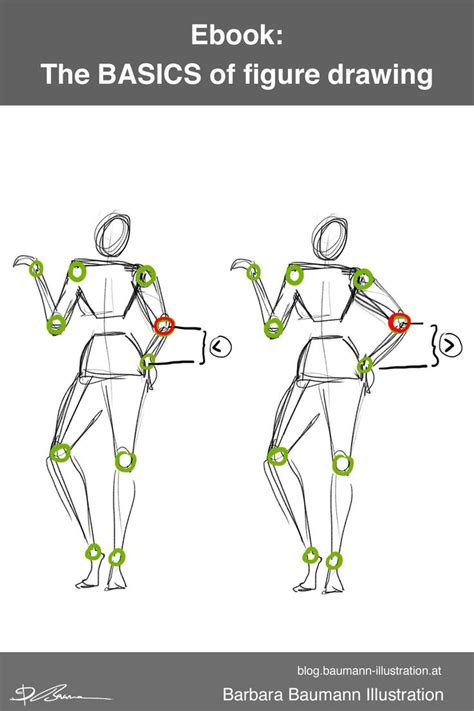 learn the basics of figure drawing a 54 page ebook with clear step by