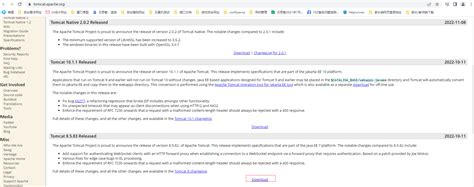 tomcatjenkins和jdk匹配版本 人可何 博客园