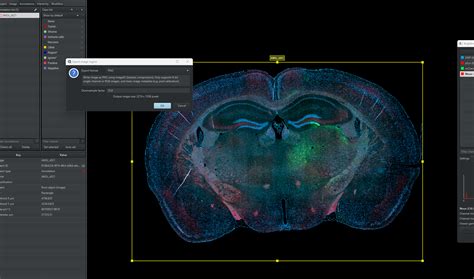 Qupath Script To Batch Export Annotations Image Analysis Imagesc Forum
