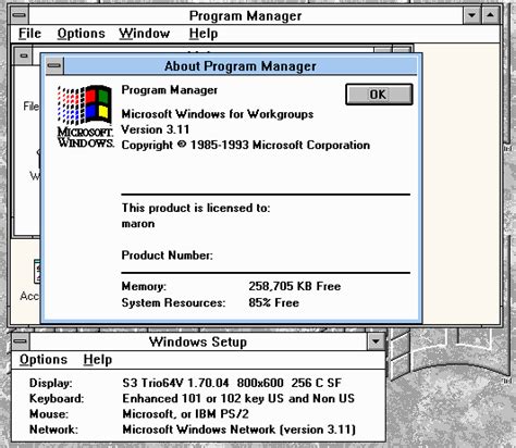 Dosbox X Crashes While Starting Windows For Workgroups With The Built In SVGA Driver